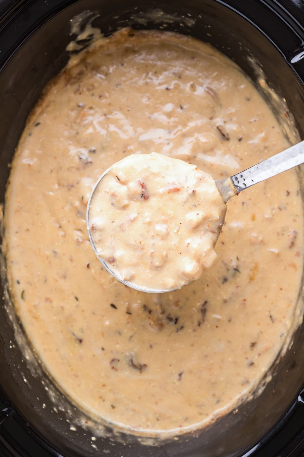 Crockpot clam chowder store