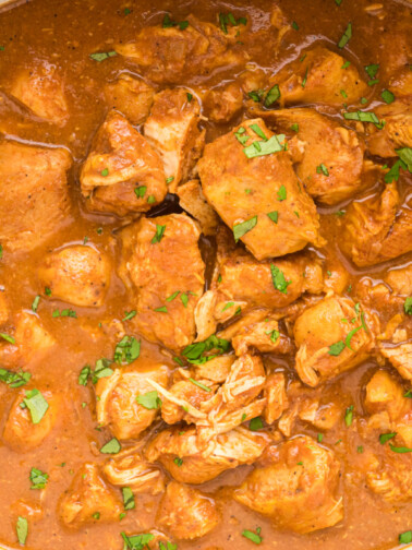 Slow Cooker Butter Chicken - The Magical Slow Cooker