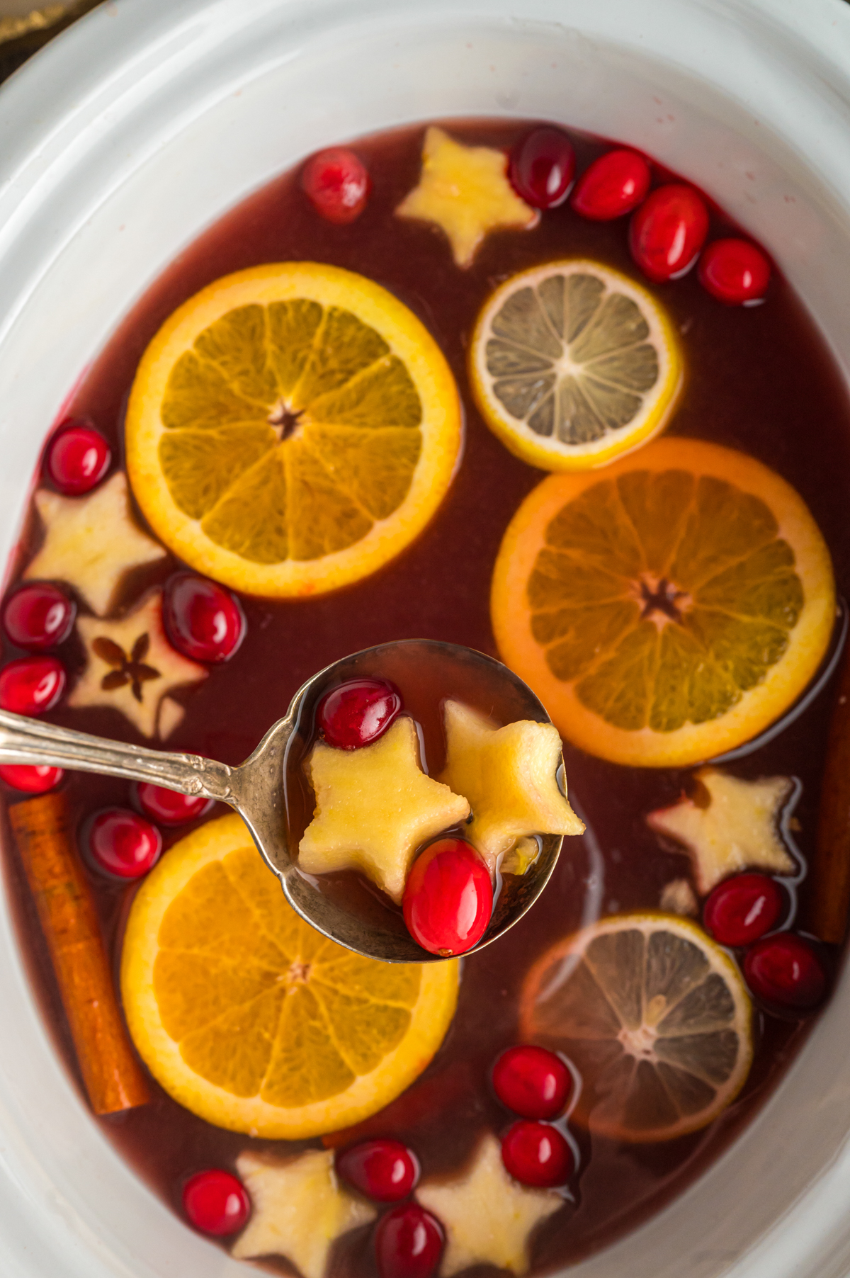 Slow Cooker Recipes for the Busy Family - The Magical Slow Cooker - The ...