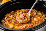 Camp Stew - The Magical Slow Cooker