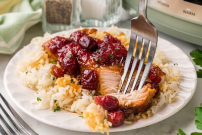 Slow Cooker Cranberry Chicken - The Magical Slow Cooker