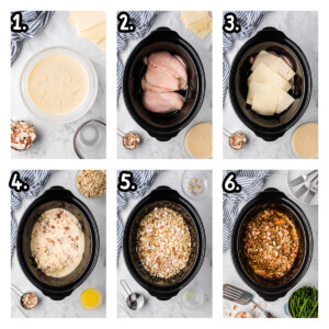 Slow Cooker Alpine Chicken - The Magical Slow Cooker