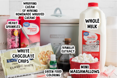 Slow Cooker Grinch Hot Chocolate - The Magical Slow Cooker