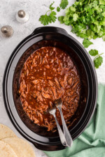 Slow Cooker Salsa Beef - The Magical Slow Cooker