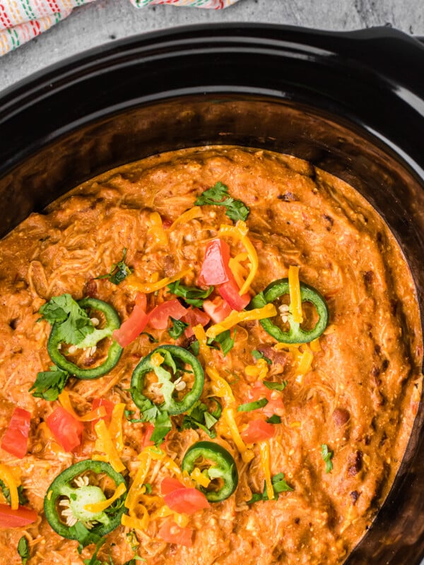 Slow Cooker Chicken Taco Dip - The Magical Slow Cooker