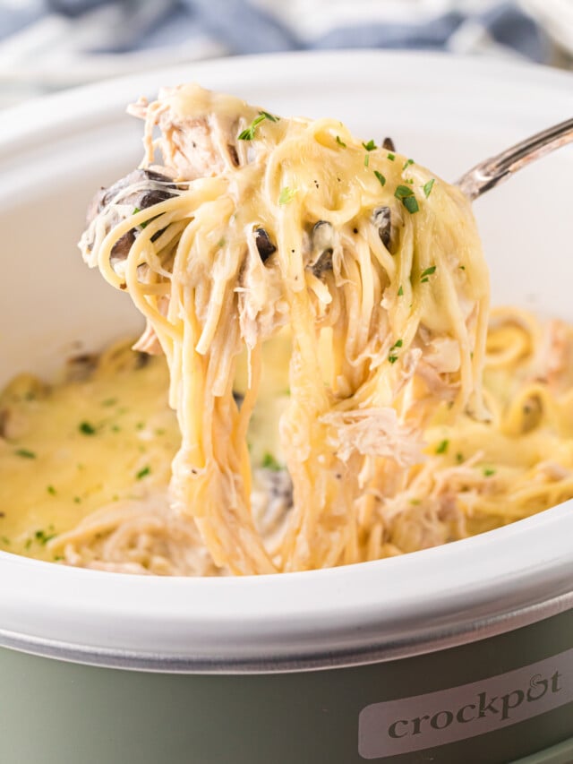 101+ Slow Cooker Chicken Recipes - The Magical Slow Cooker