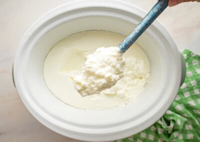 Slow Cooker Yogurt (Standard or Greek) - The Magical Slow Cooker