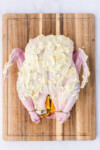 Slow Cooker Duck - The Magical Slow Cooker