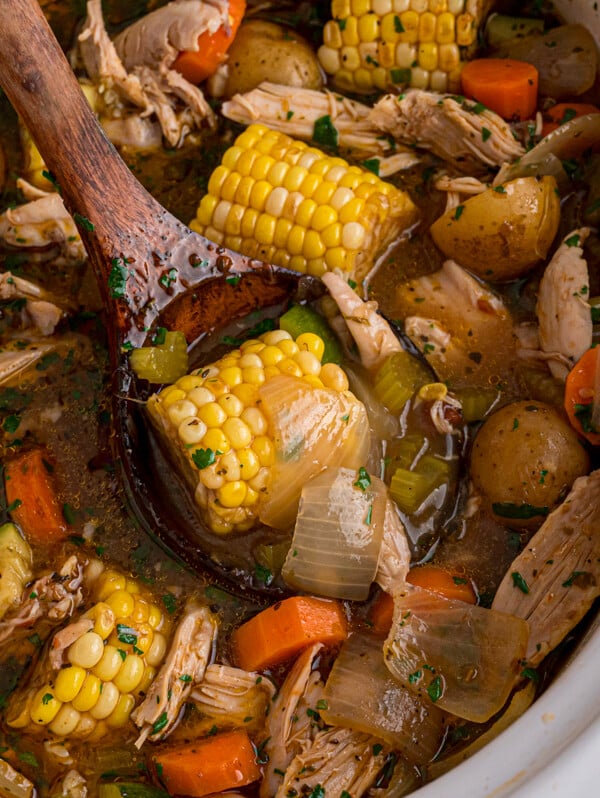 Slow Cooker Caldo de Pollo - The Magical Slow Cooker